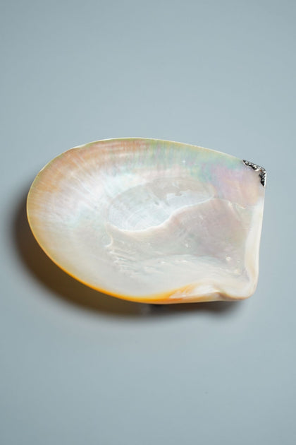 Shell Home Accents – Kultura Filipino | Support Local